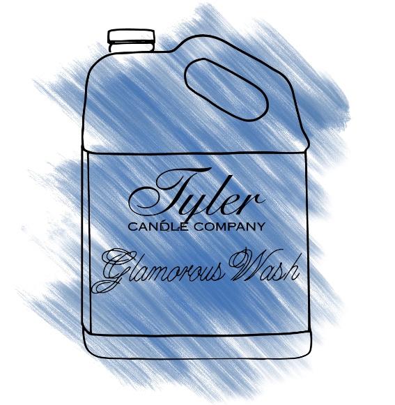 Tyler Wash - The Silver Suitcase