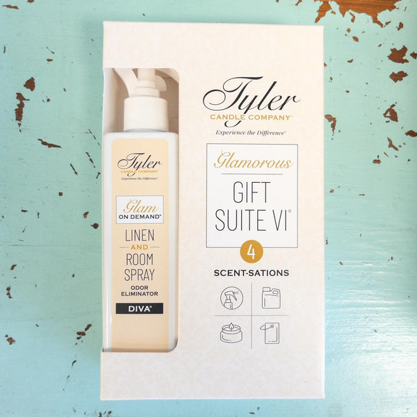 Tyler Gift Suite VI - The Silver Suitcase
